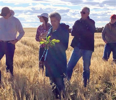 Why Soil Aggregation Is Critical To Growing Healthy Crops