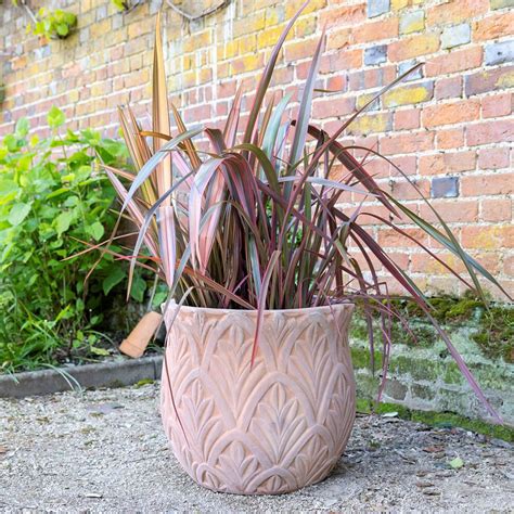 Buy Terracotta Leaf Round Planter Delivery By Primrose