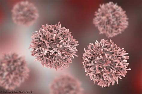 Bioinformatics Analysis Identifies Key Biomarkers