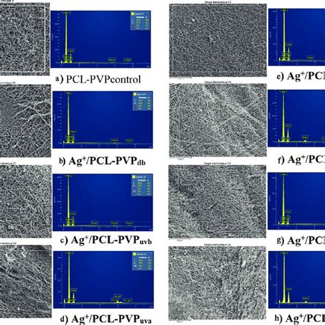 Raman Spectra Of The Samples Pcl Pvp Control And Ag Pcl Pvp Blue Download Scientific