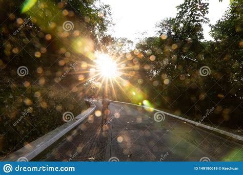 Povos Que Andam No Parque O Alargamento Da Lente Do Brilho Do Sol Da Manh Imagem De Stock