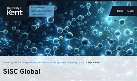 Introducing Sisc Global Connecting Minds Across Continents