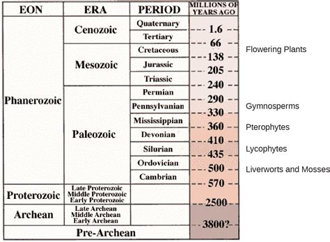 Biology 2e Biological Diversity Seed Plants Evolution Of Seed Plants
