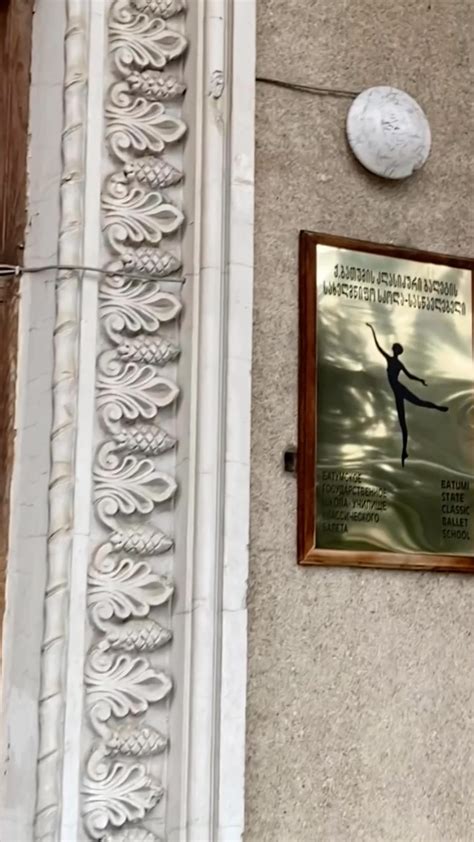 ბათუმის ვახტანგ ჭაბუკიანის სახელობის კლასიკური ბალეტის სკოლა Batumi Ballet School • Instagram
