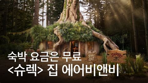 슈렉 집에 무료로 묵을 수 있는 행운의 주인공 3명은 Youtube