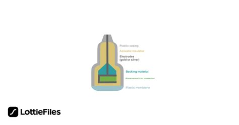 Joana Barreira의 무료 Ultrasound Transducer Components 애니메이션 로티파일