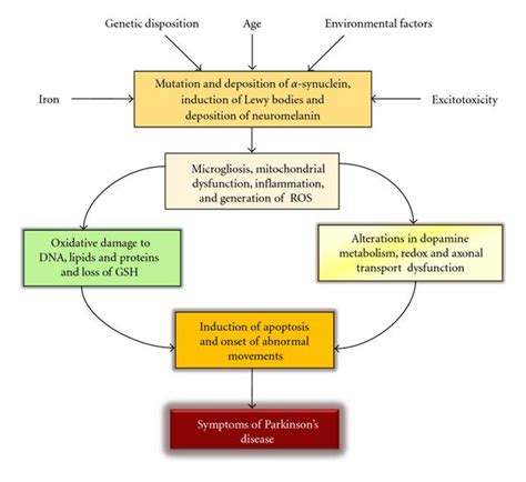 Potential Factors And Events Associated With The Pathogenesis Of Pd