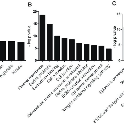 Representative Functional Groups Enriched In Differentially Expressed