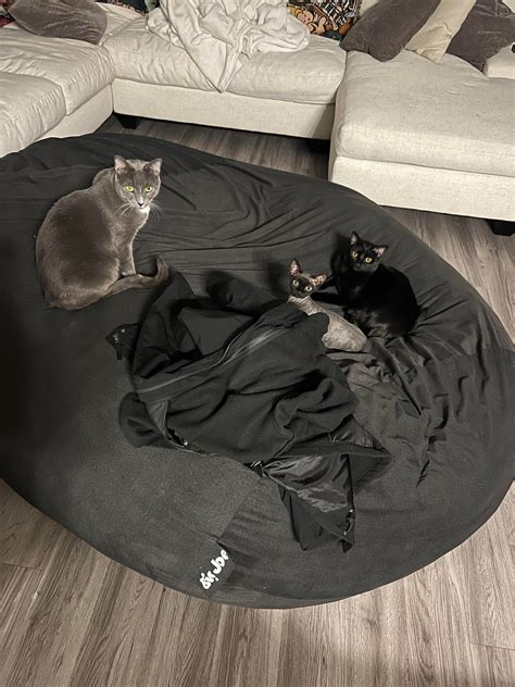 С добрым утром Dymontiger — Livejournal