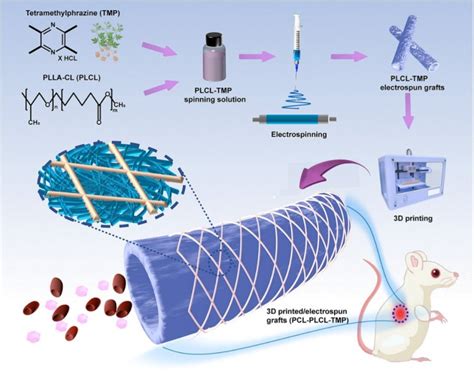 electrospinning and 3d printing stent grafts to improve cvd surgery