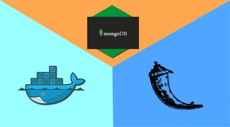 Dockerize Your Flask And Mongodb App Python In Plain English