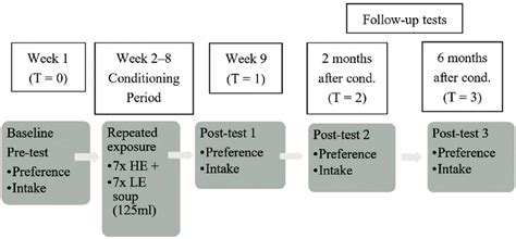 1 Schematic Outline Of The Study In Time A Detailed Description Of Download Scientific Diagram