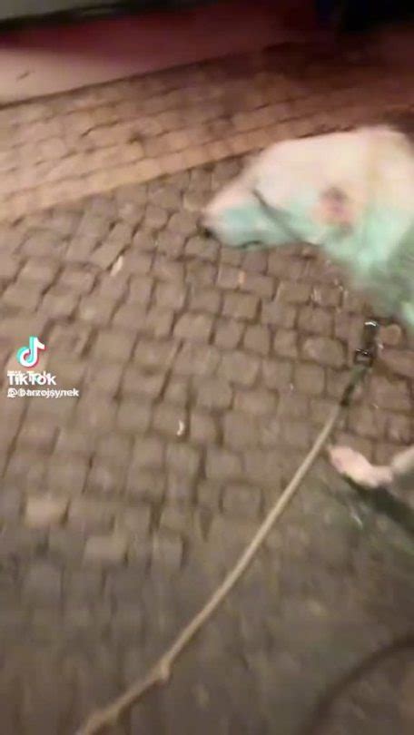 Post I Like Mountains Tumblr Com Tumbex