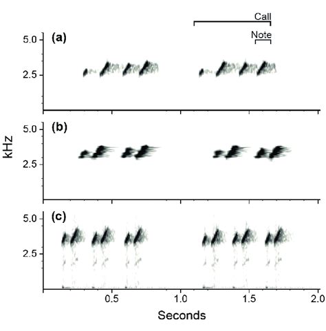 sample spectrograms of stimuli used in the playback experiments