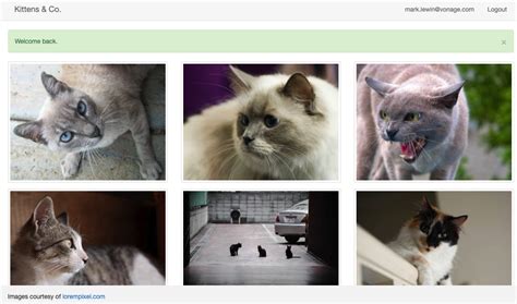 Two Factor Authentication For Security And Spam Prevention
