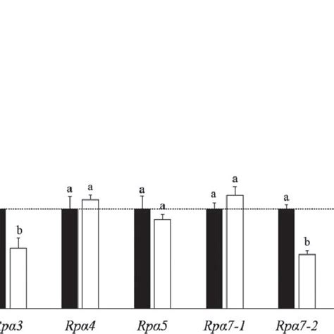 The Relative Transcript Level Of R Padi Nachr Subunits And Cyp6cy3 Download Scientific Diagram