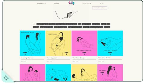 Adult Web Development Vicetemple