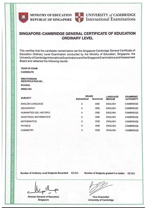 O Levels Secondary Tuition E Math A Math Pure Chem Pure Physics Combined Science English