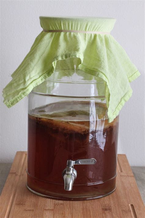 Continuous Brew Kombucha Set Up And Method The Wild Gut