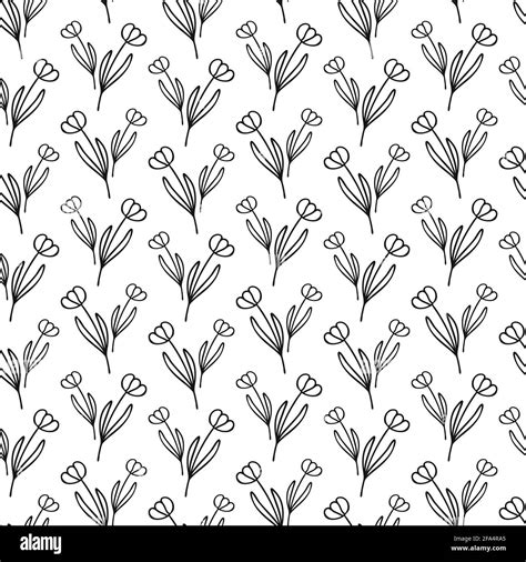 Black And White Single Flower Patterns