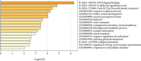 Metascape Analysis A Bar Graph Of Enriched Terms Across Input Gene