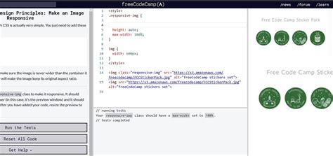 solution to make an image responsive does not work html css the