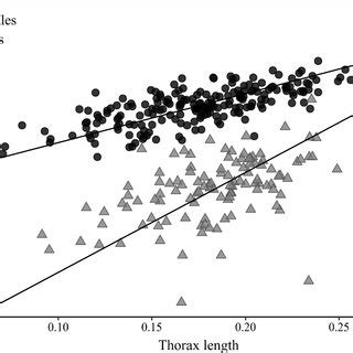An Example Of Babe S Modulus E Of Wood Balsa In Three Directions Download Scientific