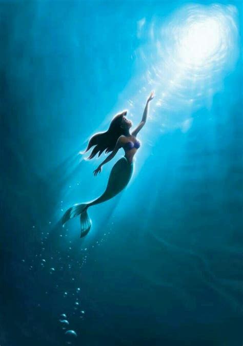 Regras Disney Amino Br Amino