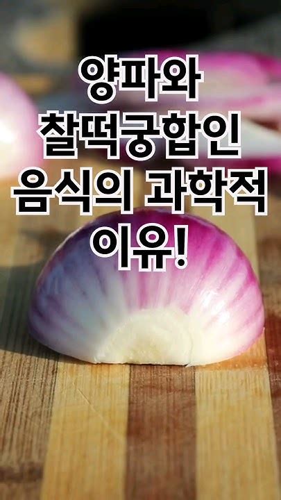 양파와 잘맞는 야채는 Youtube