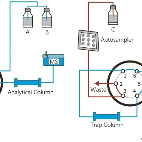 Schematic Diagram Of The Online Spe And Chromatographic Separation