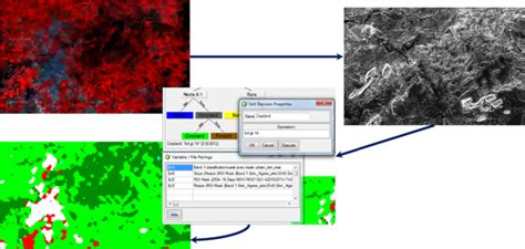 “slope” Variable To Correct The “forest—agriculture” Confusion
