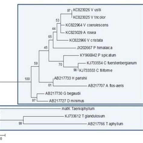 The Dna Barcode Regions Of Rbcl And Matk Genes And Its Which Were