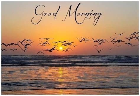 25 Sunrise Good Morning Wishes Good Morning Wishes