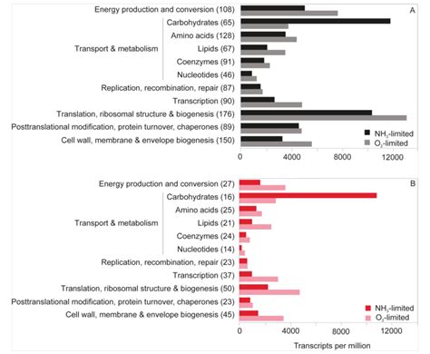 The Sum Of Transcripts Per Million Tpm For Protein Coding Genes Download Scientific Diagram