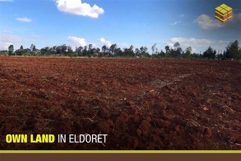 Land Layby Group Watch Out For The Surprise In All Our Social Media