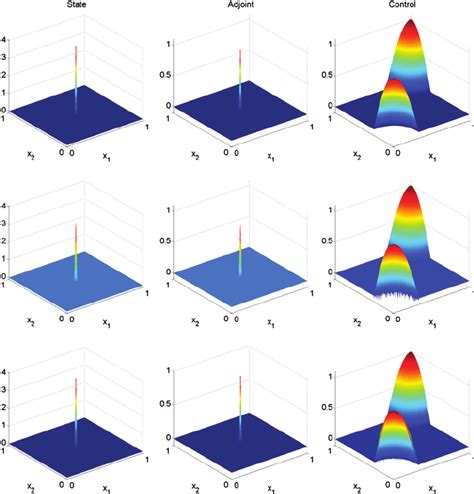 Example 522 The Plots In The Top Row Show The Exact State Adjoint