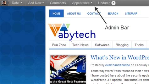 how to disable admin bar in wordpress 3 1 when viewing site wp admin