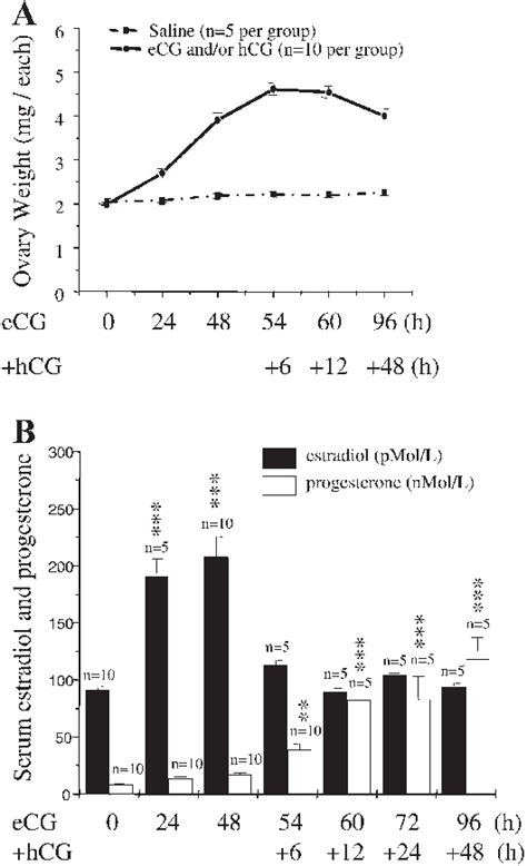 Effect Of Gonadotropins On Ovary Weights A As Well As Serum Estradiol Download Scientific