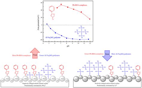 Selective Separation Of Scheelite From Calcite By Self Assembly Of H2sio3 Polymer Using Al3 In