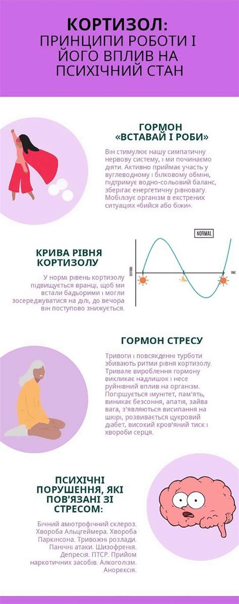 Кортизол: принципи роботи та його вплив на психічний стан. PsyMag
