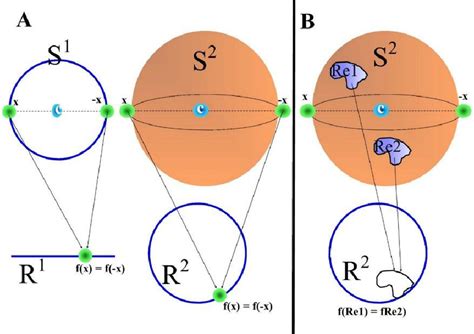 A The “classical” Borsuk Ulam Theorem For Different Values Of S N Download Scientific Diagram