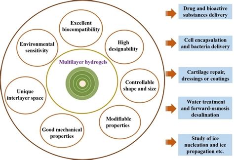 Gels Free Full Text Research Progress In The Multilayer Hydrogels