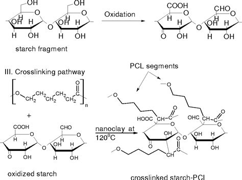 Figure 3 1 From Rheological Behavior Of Starch Polycaprolactone Pcl Nanocomposite Melts
