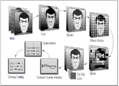 Mpeg Compression Process Download Scientific Diagram