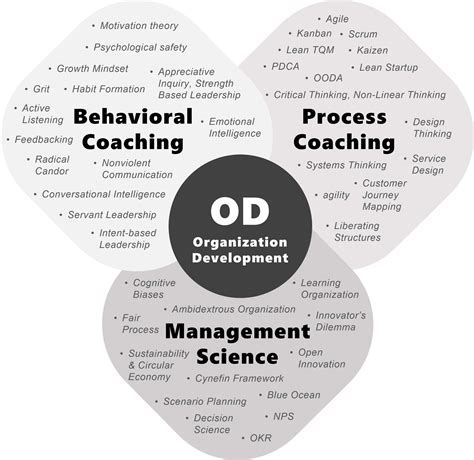 Agile Organization Development Team Coaching Experts Agile Organization Development Team Coaching Experts