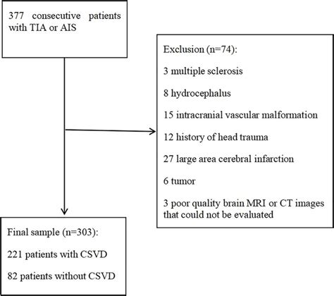 Associations Between Semi Quantitative Evaluation Of Intracranial Arterial Calcification And