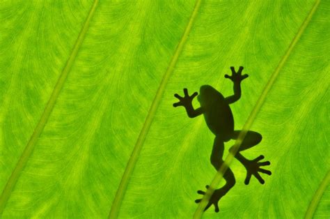 Digital Light Sensor Bh1750 Am Raspberry Pi Raspberry Pi Geek