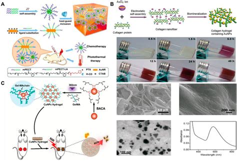 Frontiers Photothermal Nanohybrid Hydrogels For Biomedical Applications