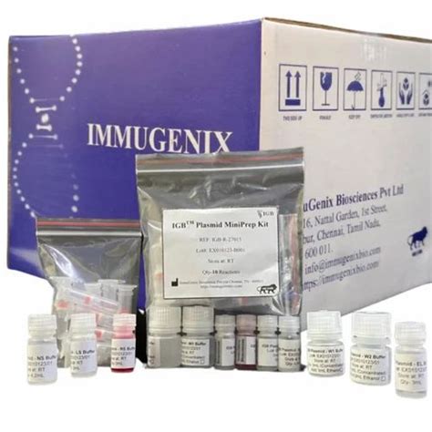 Immugenix Plasmid Extraction Kit At Best Price In Chennai Id 2851917667855