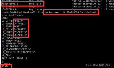mysql容器中mysql命令无法输入中文 容器装mysql mysql无法输入汉字 csdn博客